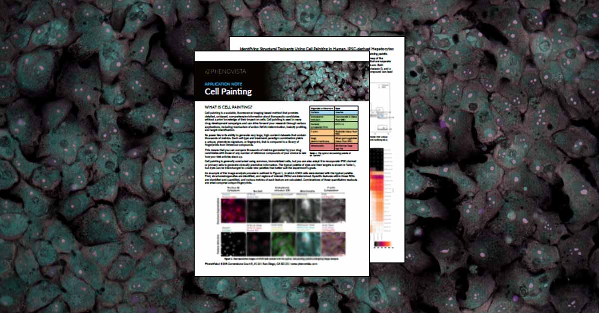 Cell Painting Assay Services - Drug Discovery